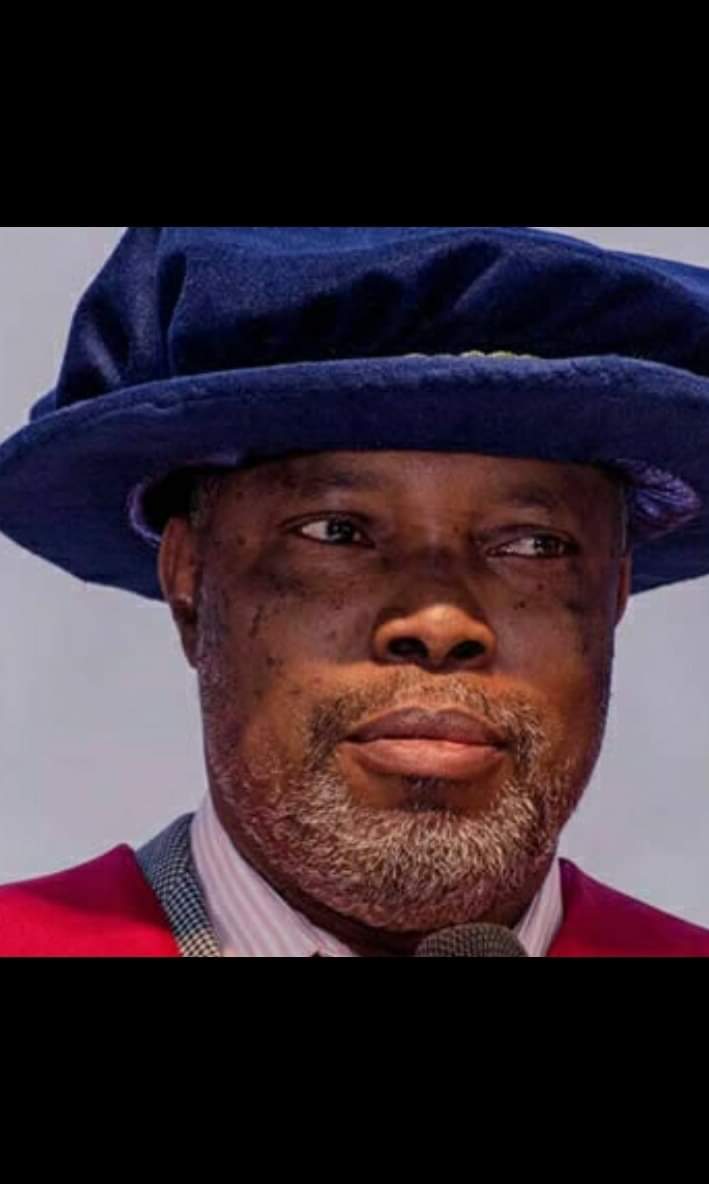 Professor W. Alade Fawole: The Marriage of Brilliance, Excellence, and ...